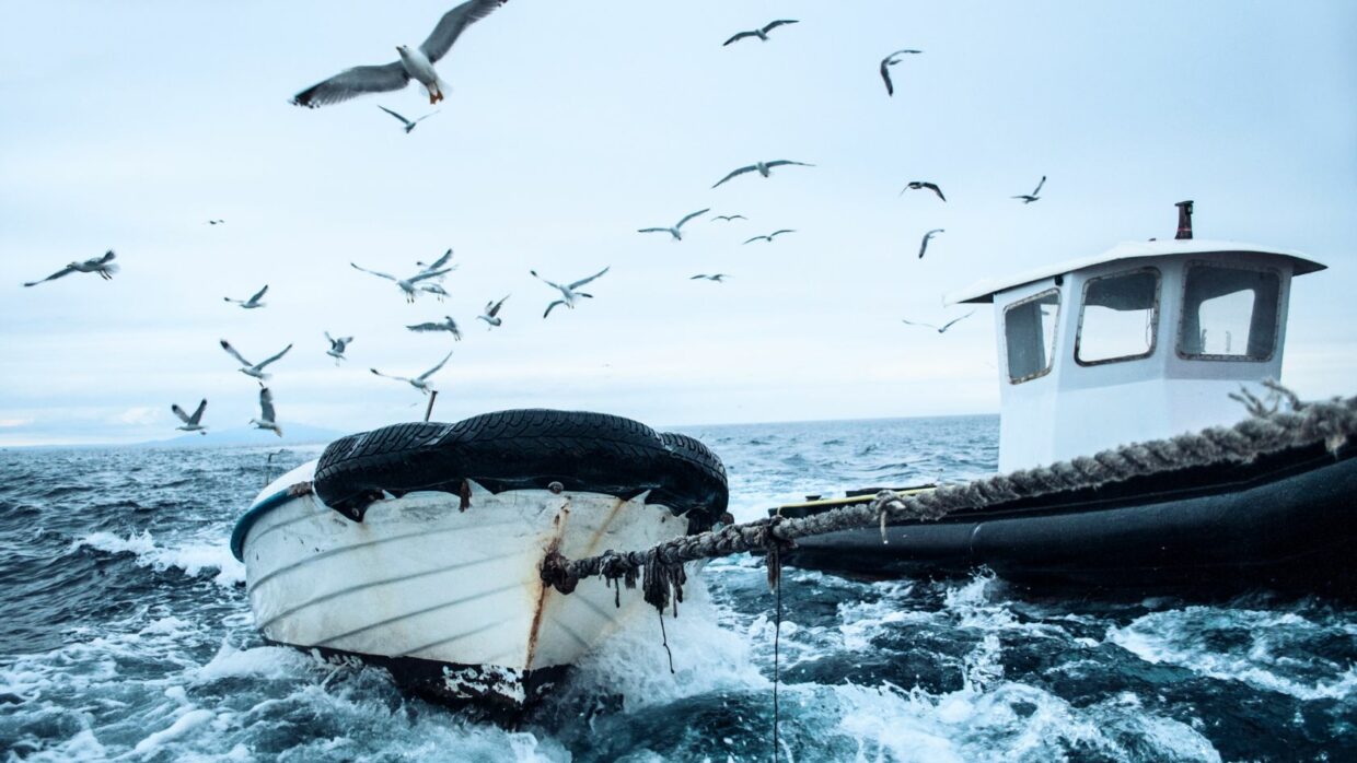 How to Read a Boating Weather Report - Boatzon