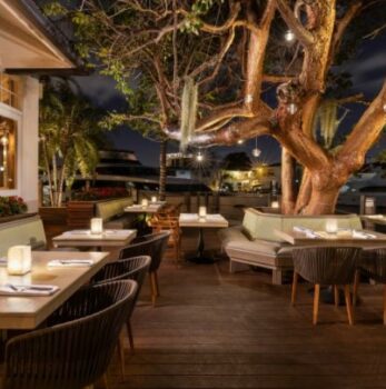 Top 12 Dock and Dine Restaurants in South Florida - Boatzon