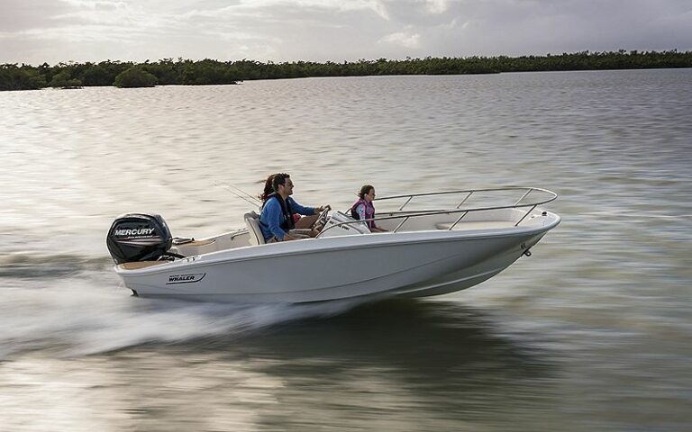 The Unsinkable Soul of the Sea: A Boater’s Guide to Boston Whalers ...
